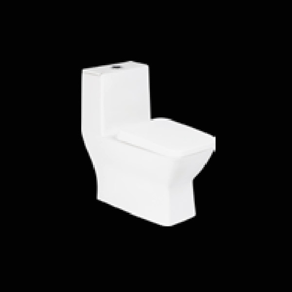 One Piece Closet S Trap 300 MM 370X670X740 - Tap World India